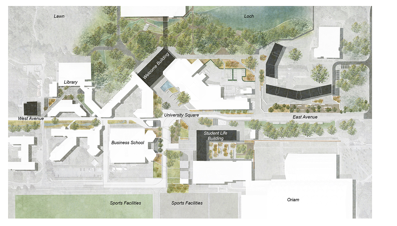 Imagining a more sustainable, environmental, and socially focused ...